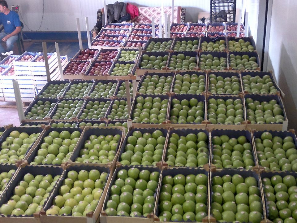 BOTUNJAC-DVA BRATA D.O.O. - POSLOVNE STRANE