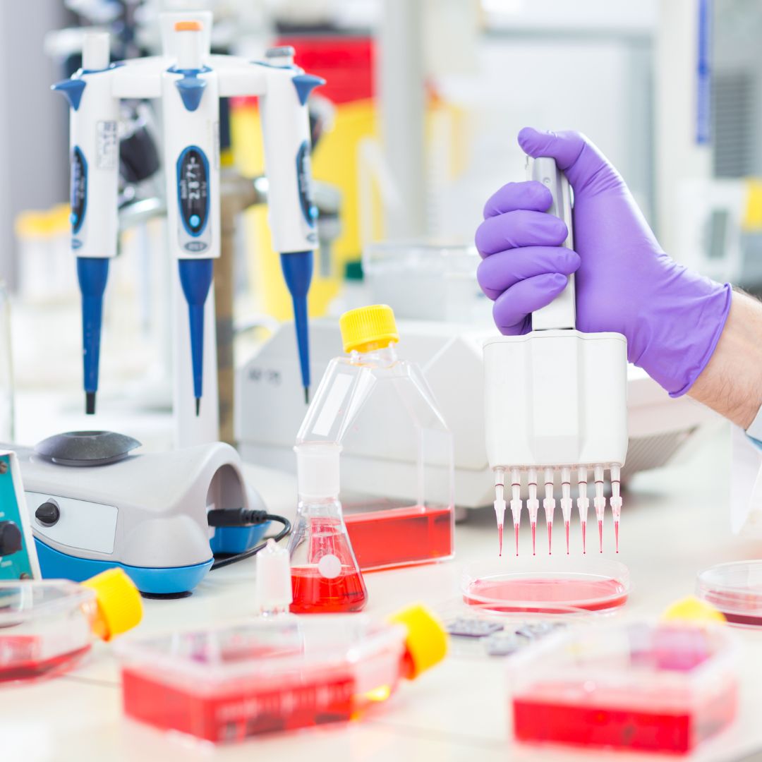 Vorgić laboratorija za medicinsku biohemiju Zrenjanin - POSLOVNE STRANE